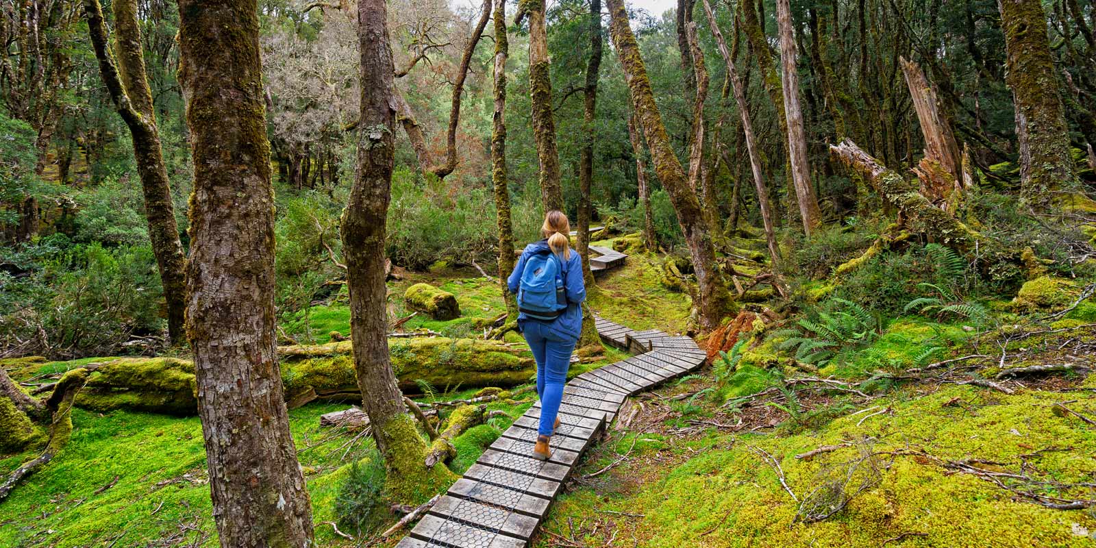 6 Day Tasmania Australia Wilderness Tour | Downunder Travel