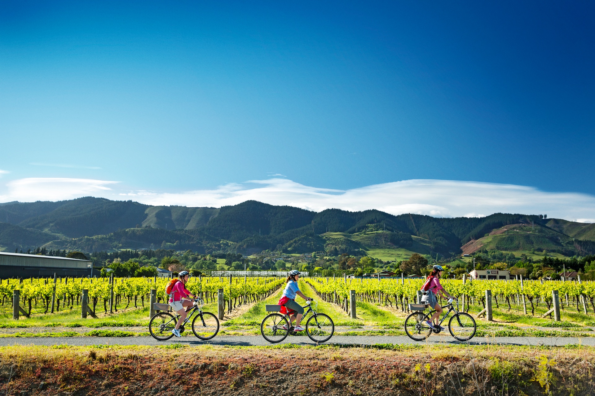 Classic New Zealand Wine Trail | Downunder Travel