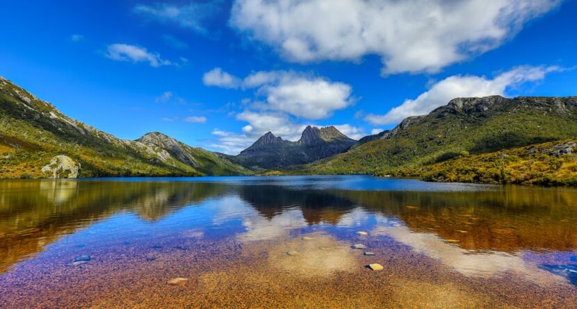 See Northern Tasmania With a Focus on Wildlife | Downunder Travel